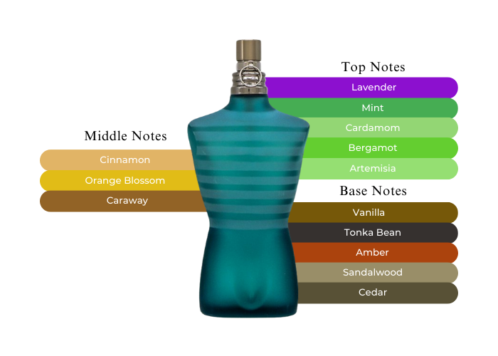 Jean Paul Gaultier Le Male cologne - For A Sophisticated Man