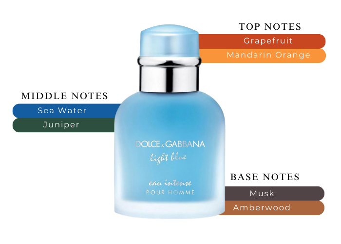 Dolce & Gabbana Light Blue Eau Intense EDP Spray|Maxaroma.com