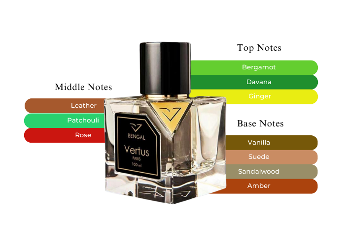 Vertus Paris Bengal- Explore the infinite strength & magnetism.