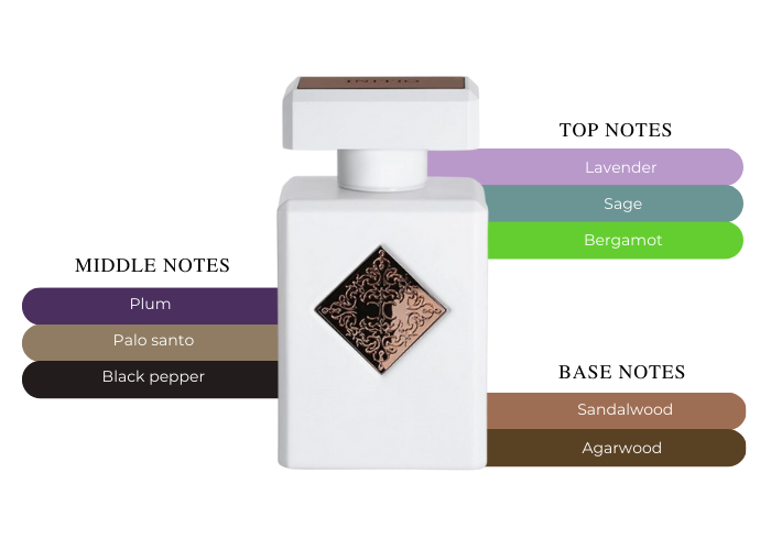 Initio PARAGON - A Smell Experience You Can't Resist