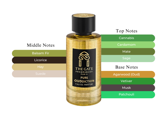The Gate Fragrances Paris Pure OUDdiction -Free 2Days Shipping & Return ...