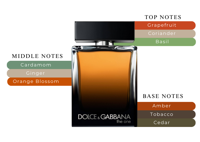 Dolce & Gabbana The One Eau De Parfum For Men 3.3 OZ |Maxaroma.com