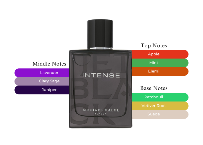 Michael Malul Jet Black Intense-A fresh, masculine fragrance