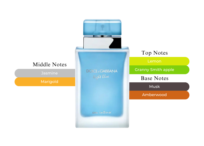 Dolce Gabbana Light Blue Eau Intense-Only Fragrance You Need