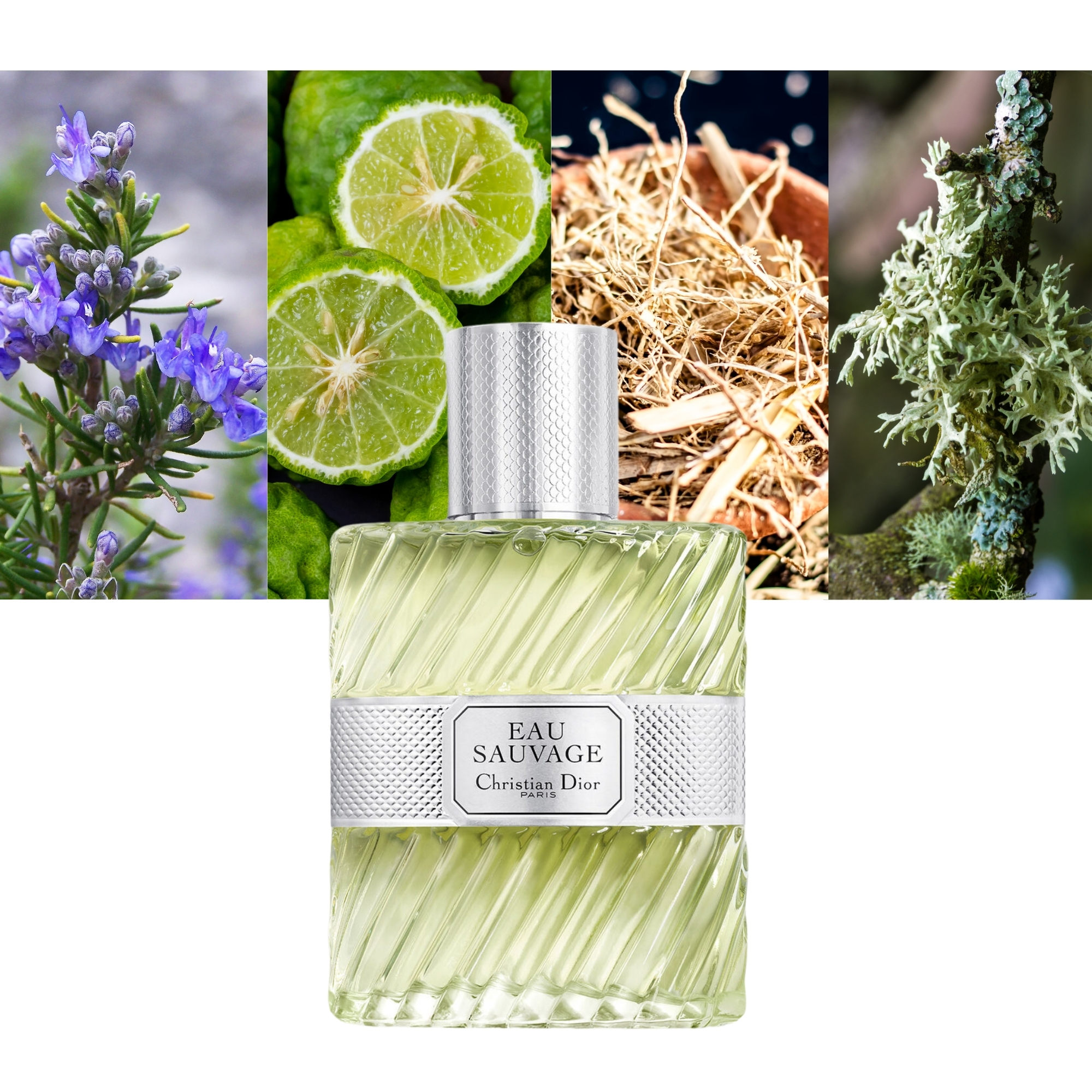 Christian Dior Eau Sauvage-The Epitome of Sophistication & Style