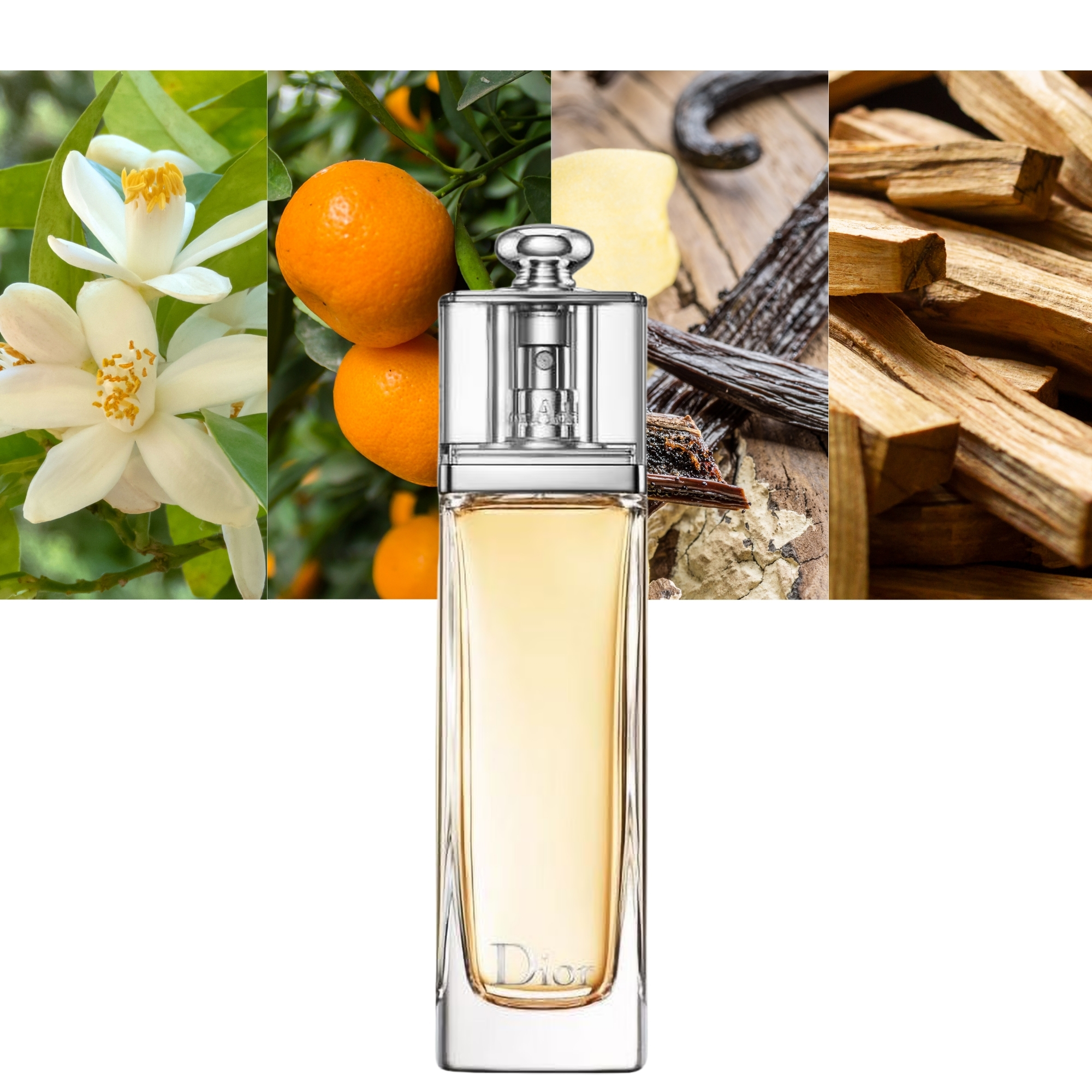 Step into a World of Elegance with Christian Dior Addict