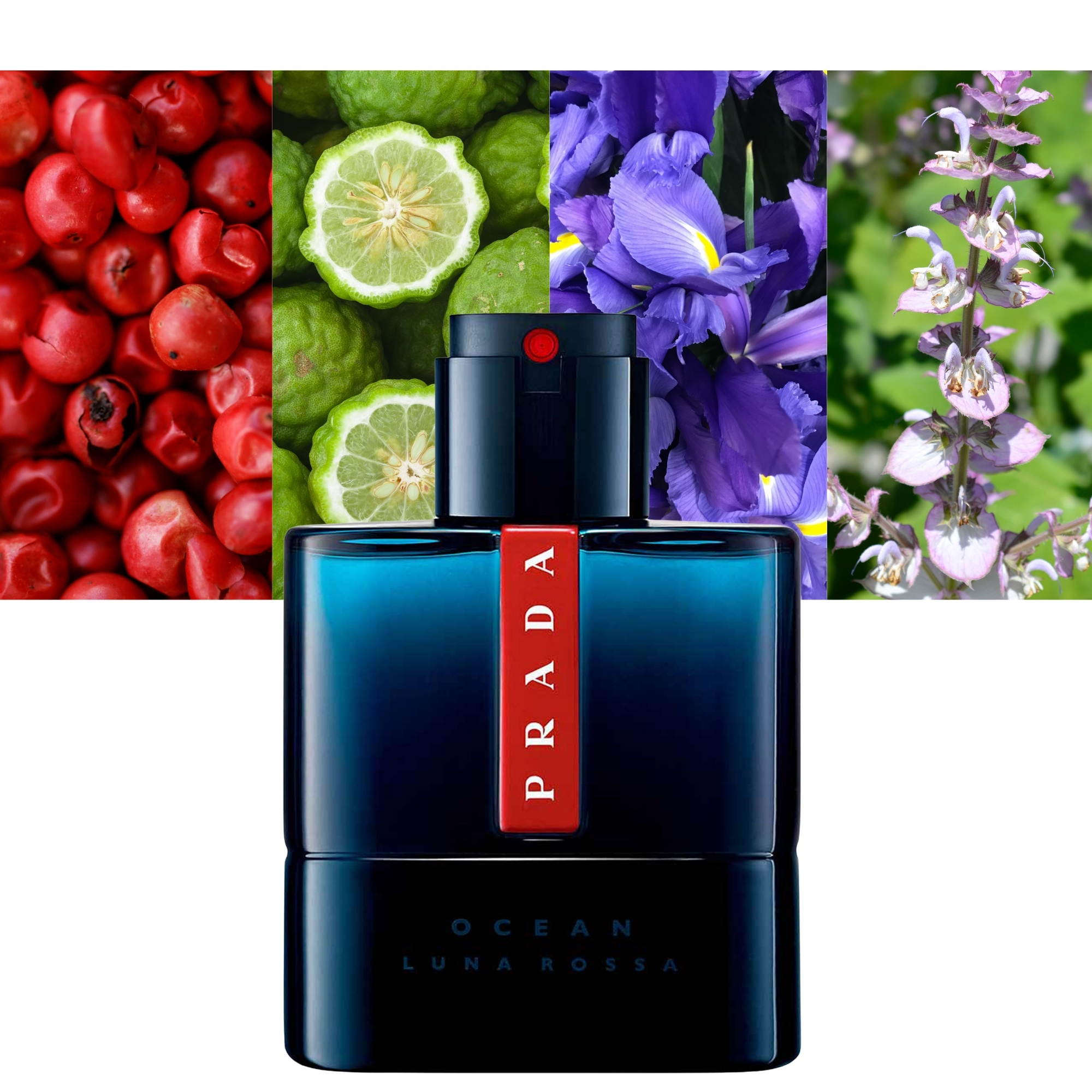 Prada Luna Rossa Ocean-Feel the fresh breeze of the ocean