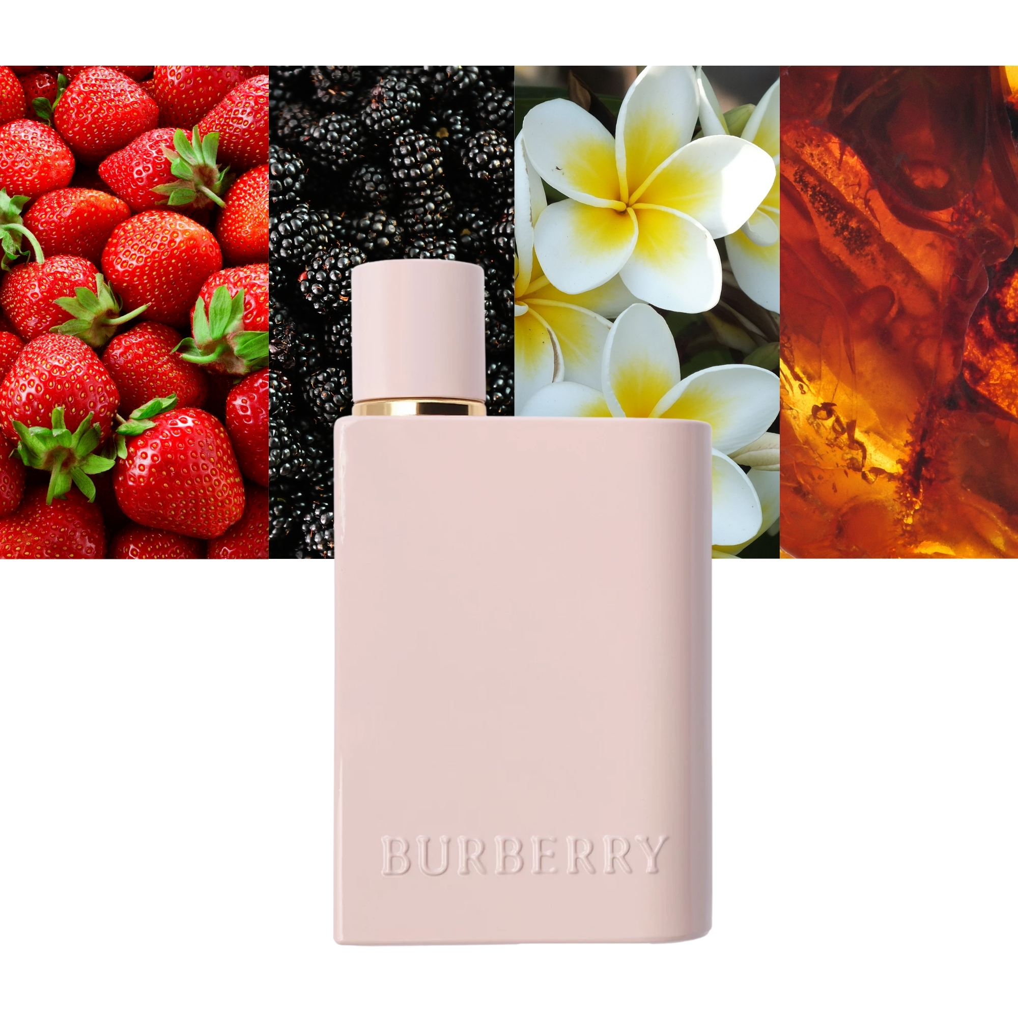 Experience the Timeless Charm of Burberry Her Elixir de Parfum