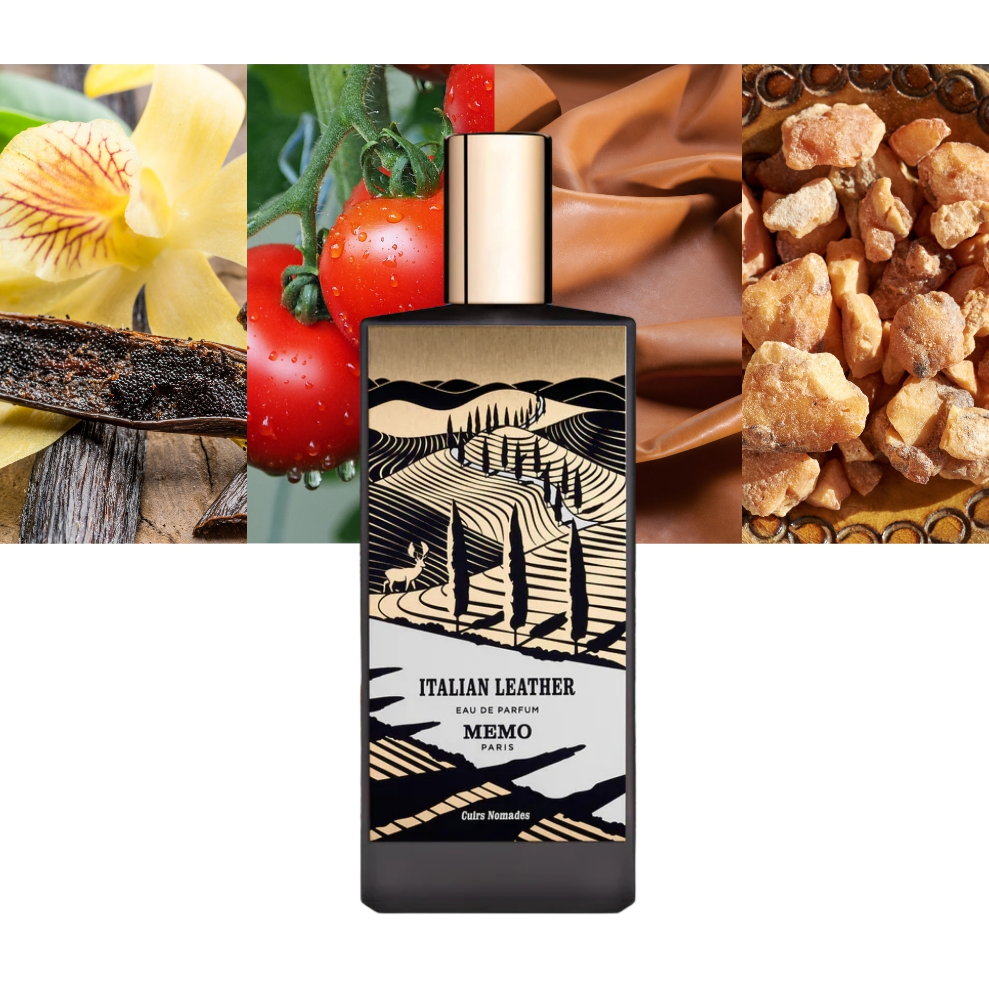 Memo Paris Italian Leather-A Great Choice Of Perfume For You