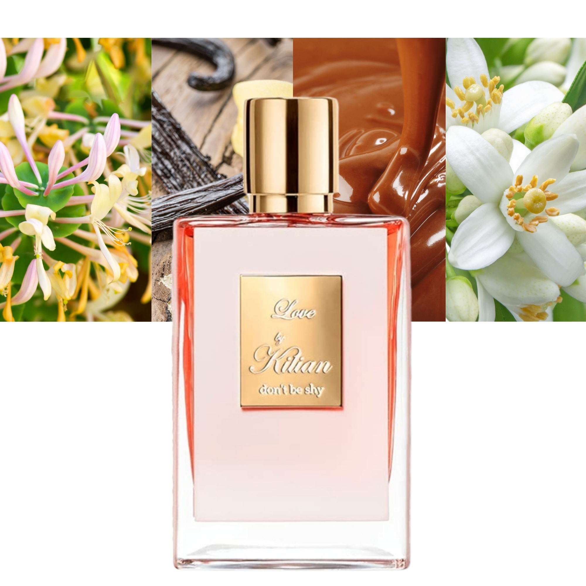 By Kilian Love, Don't Be Shy