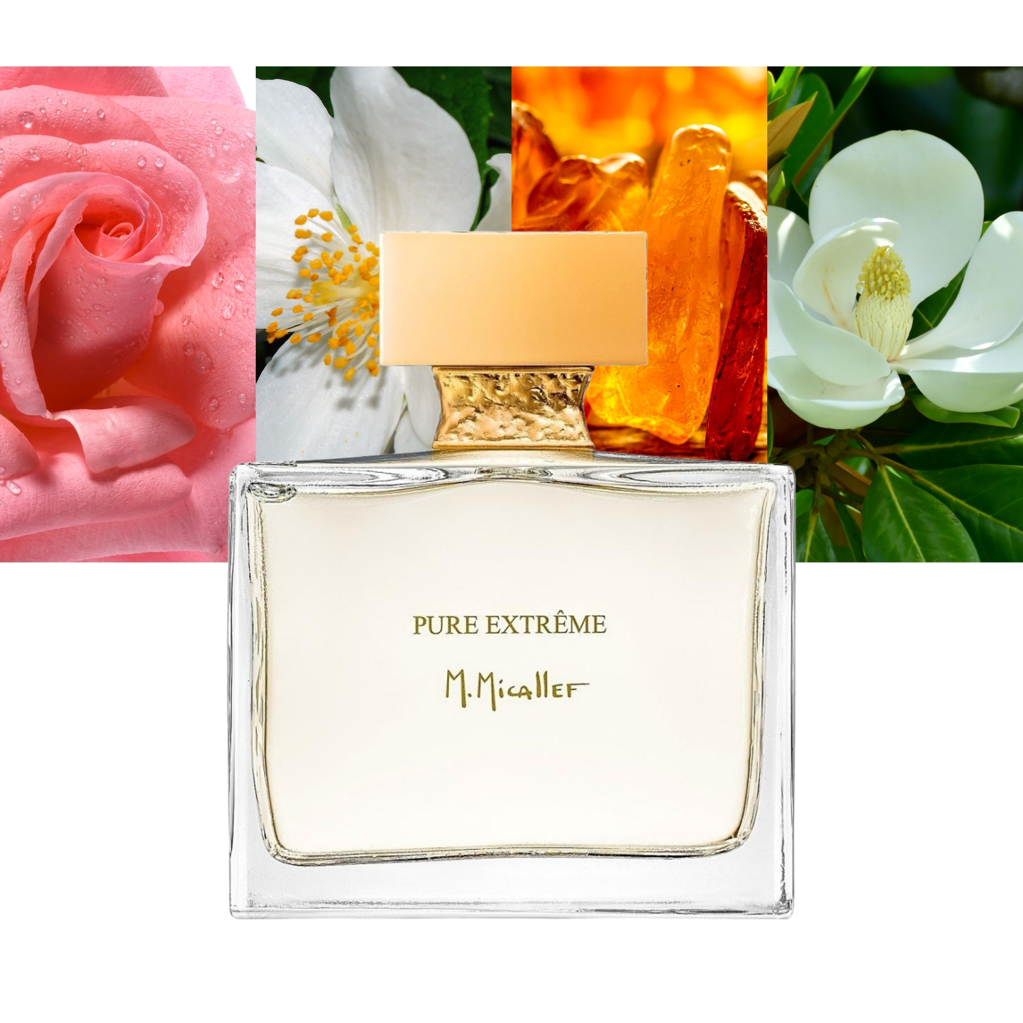 Micallef Pure Extreme - The Most Sensual and Elegant Scent
