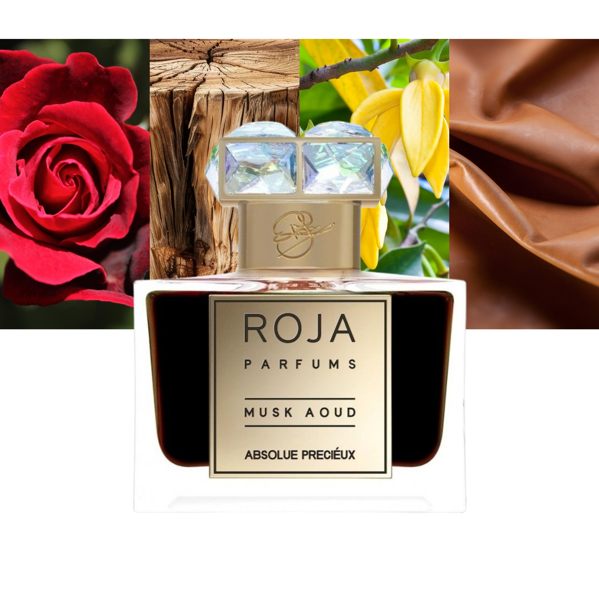Roja Musk Aoud Absolue Precieux 1.0oz EDP Spray | Maxaroma.com