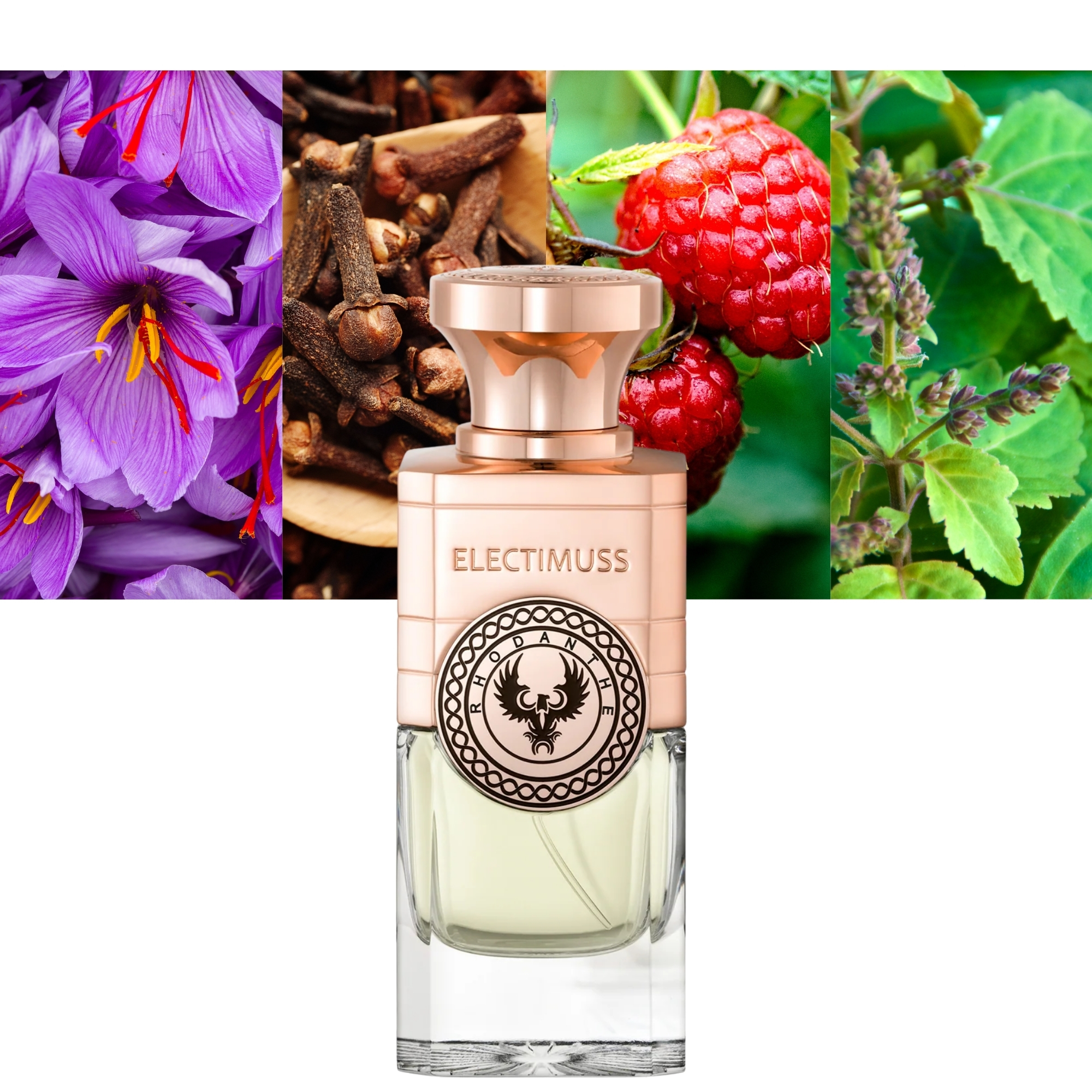 Be Captivated By Electimuss Rhodanthe-A Luxurious Scent