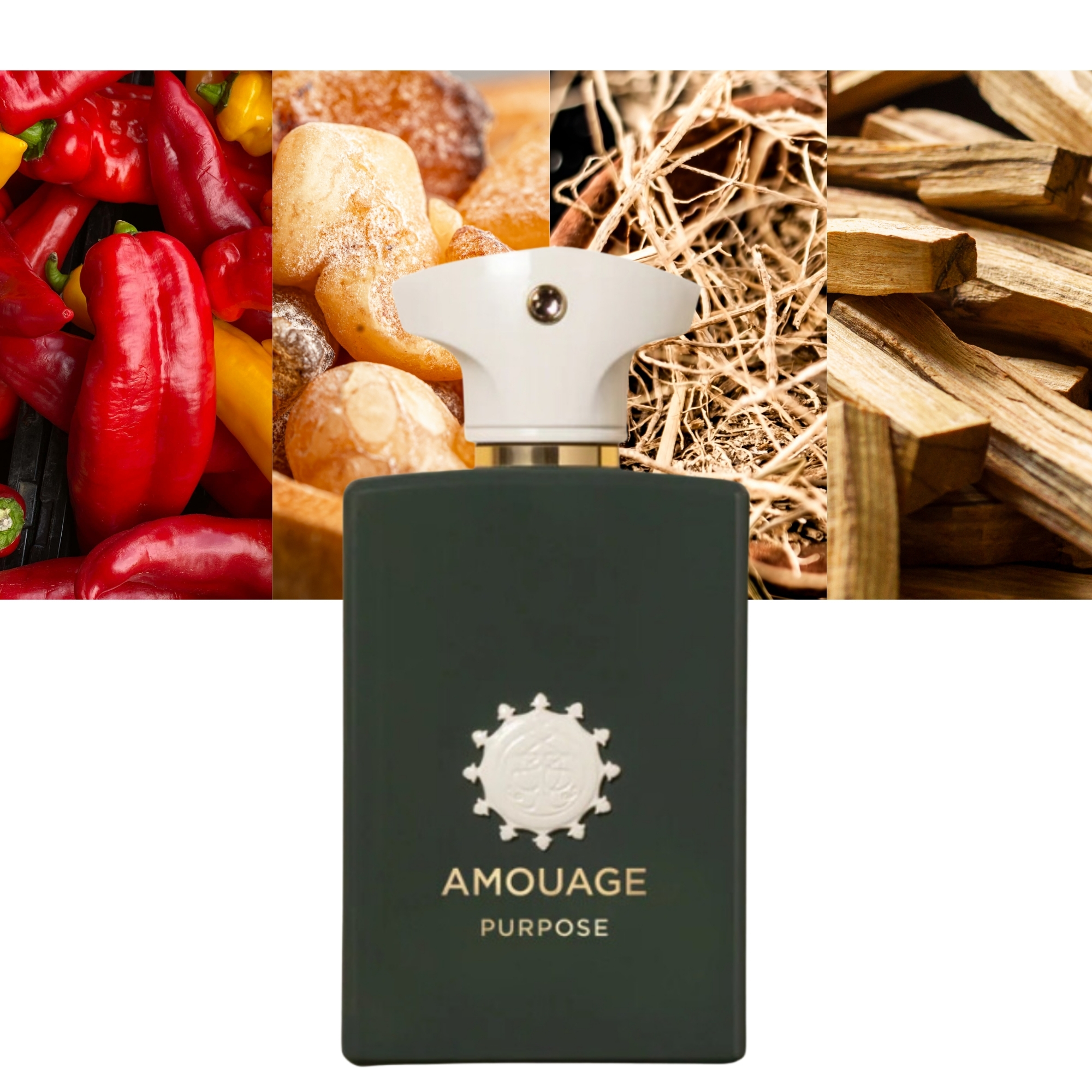 Amouage Purpose New Packaging