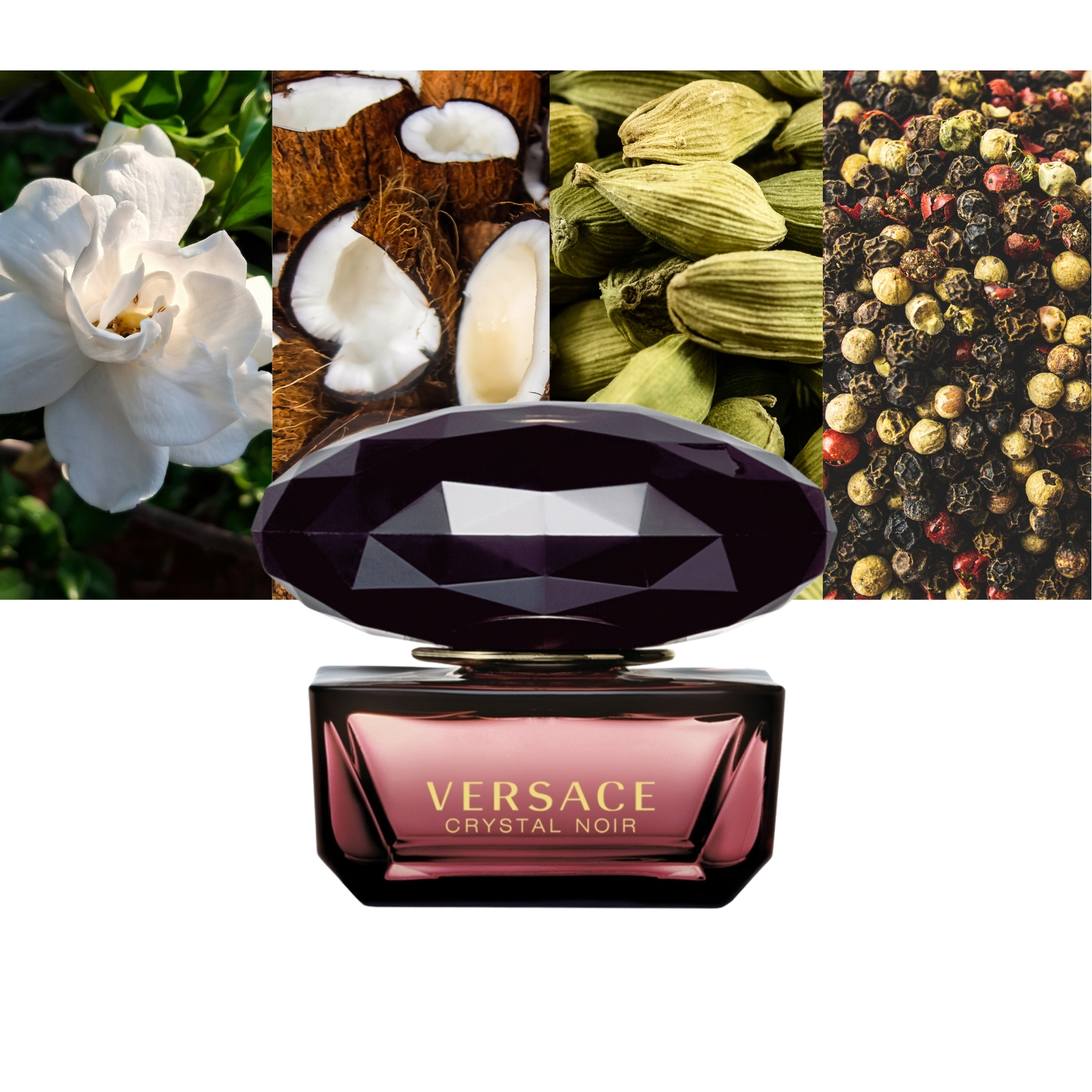 Dive into Darkness-Seductive Depths of Versace Crystal Noir