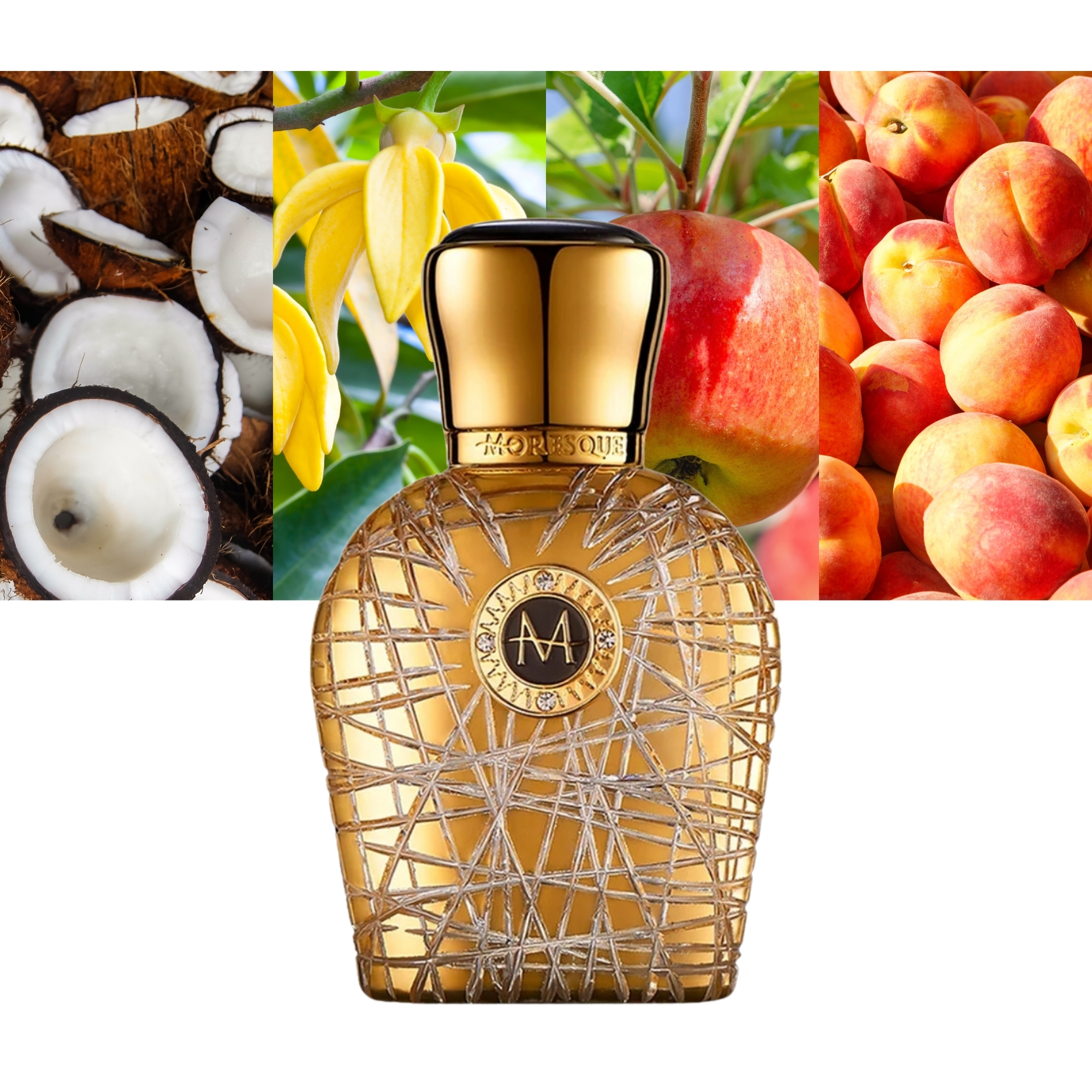 Moresque Parfums Gold Collection Sole 1.7 OZ 50 ML Eau De Parfum Spray ...