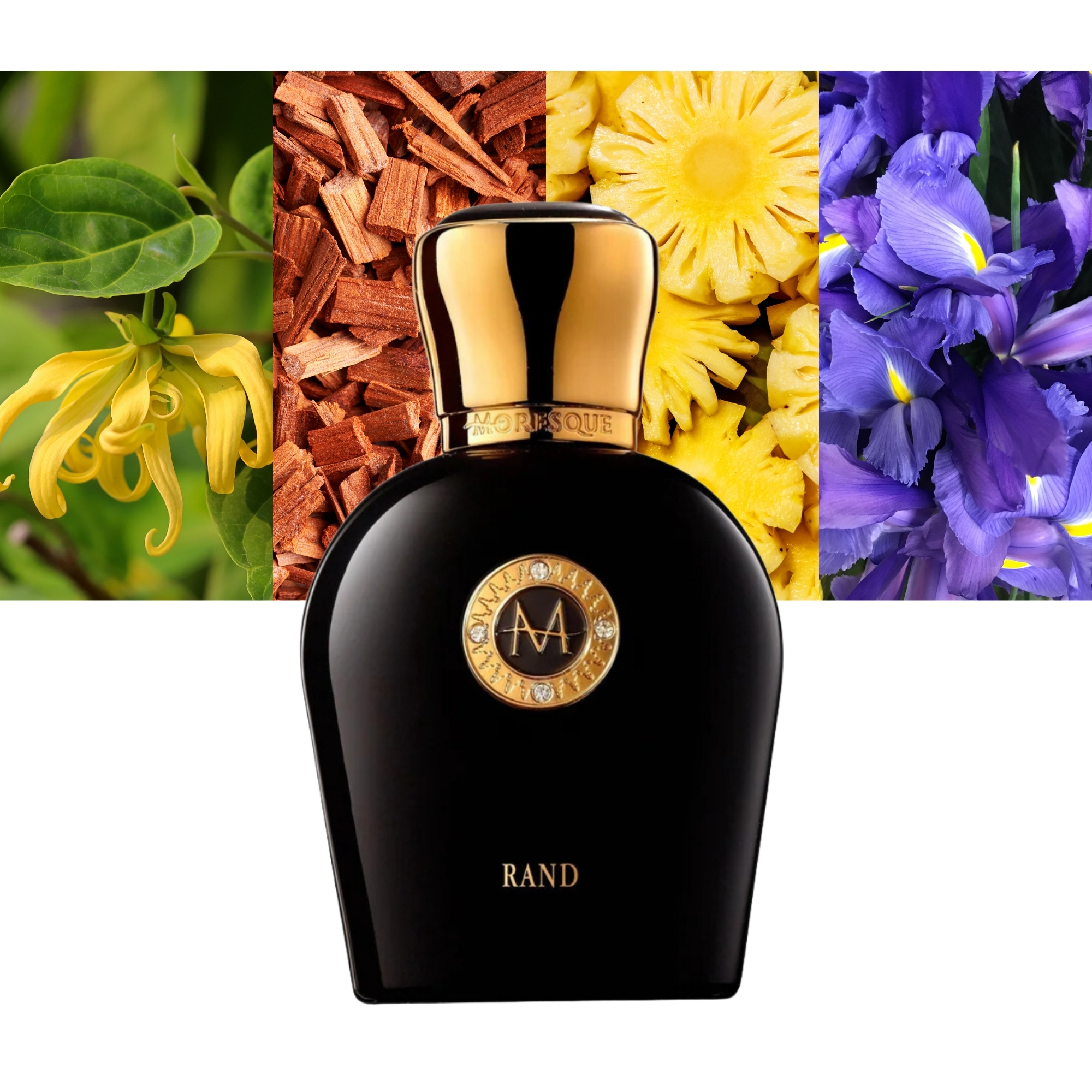 Moresque Parfums Black Collection Rand 1.7oz/50ml Eau De Parfum Spray ...