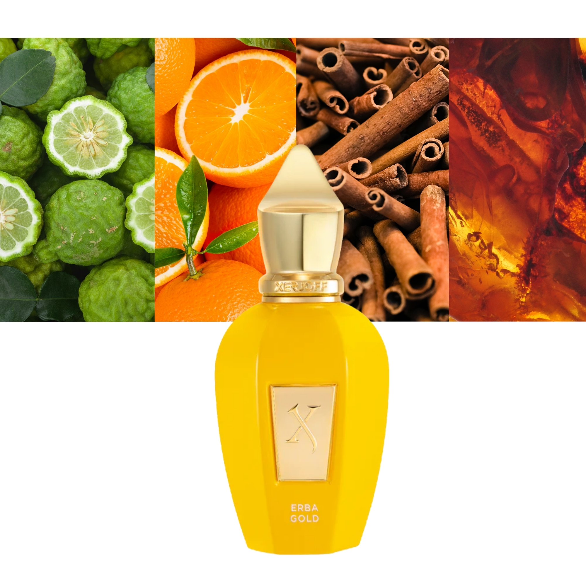 Xerjoff Erba Gold-A Fragrance That Defines Luxury & Elegance