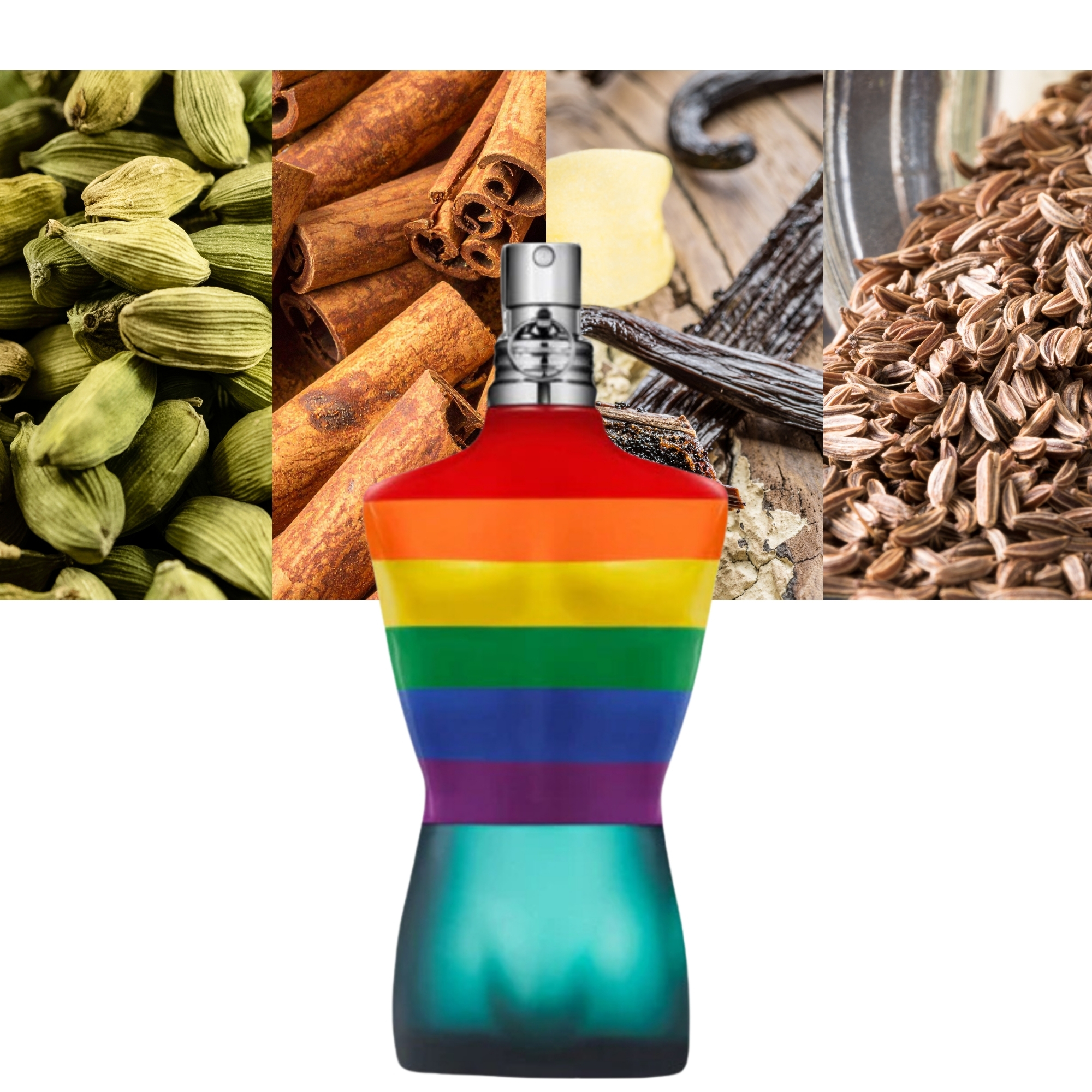 Freedom & Elegance-Le Male Pride Collector Jean Paul Gaultier