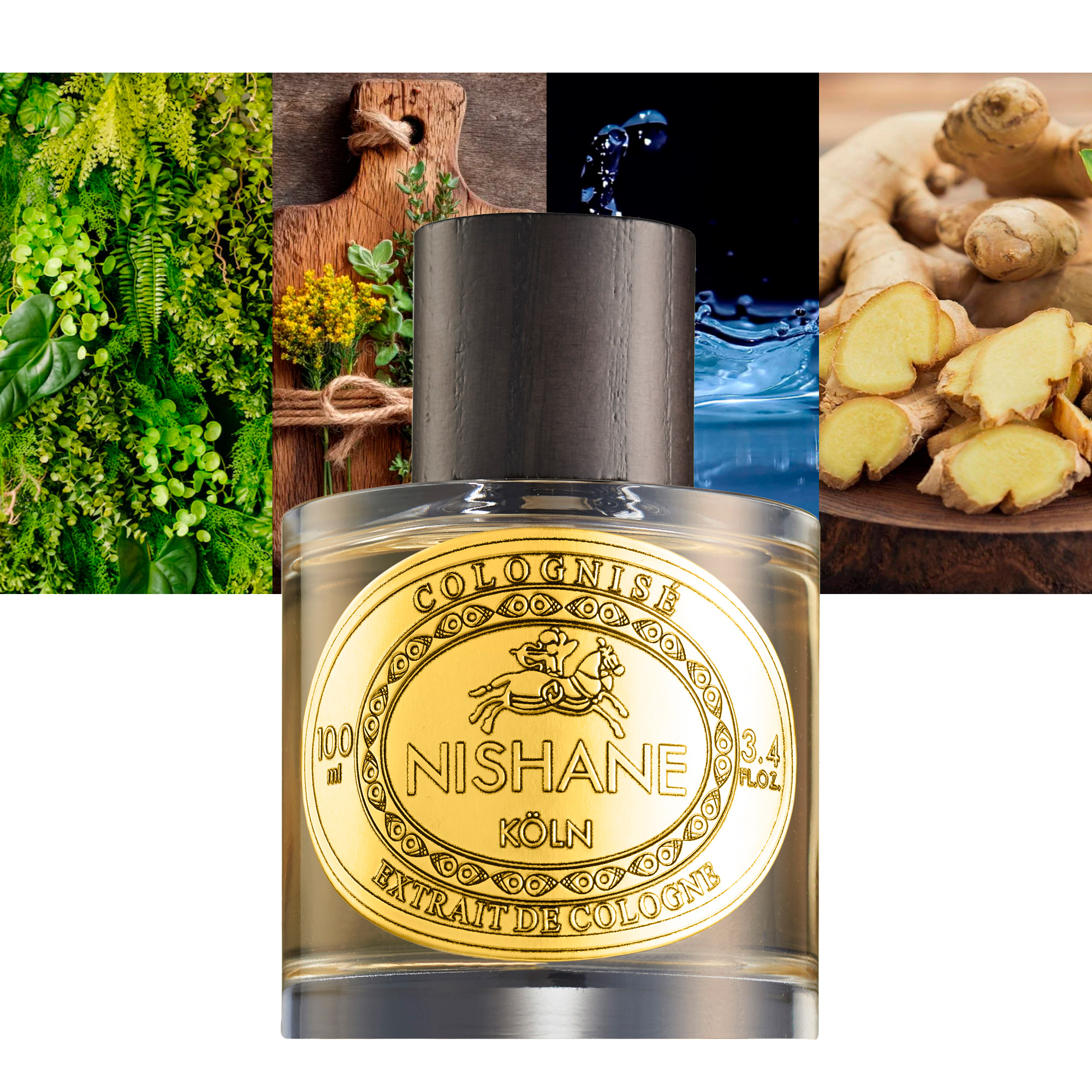 Nishane Colognise - A Long-Lasting And Affordable Scent