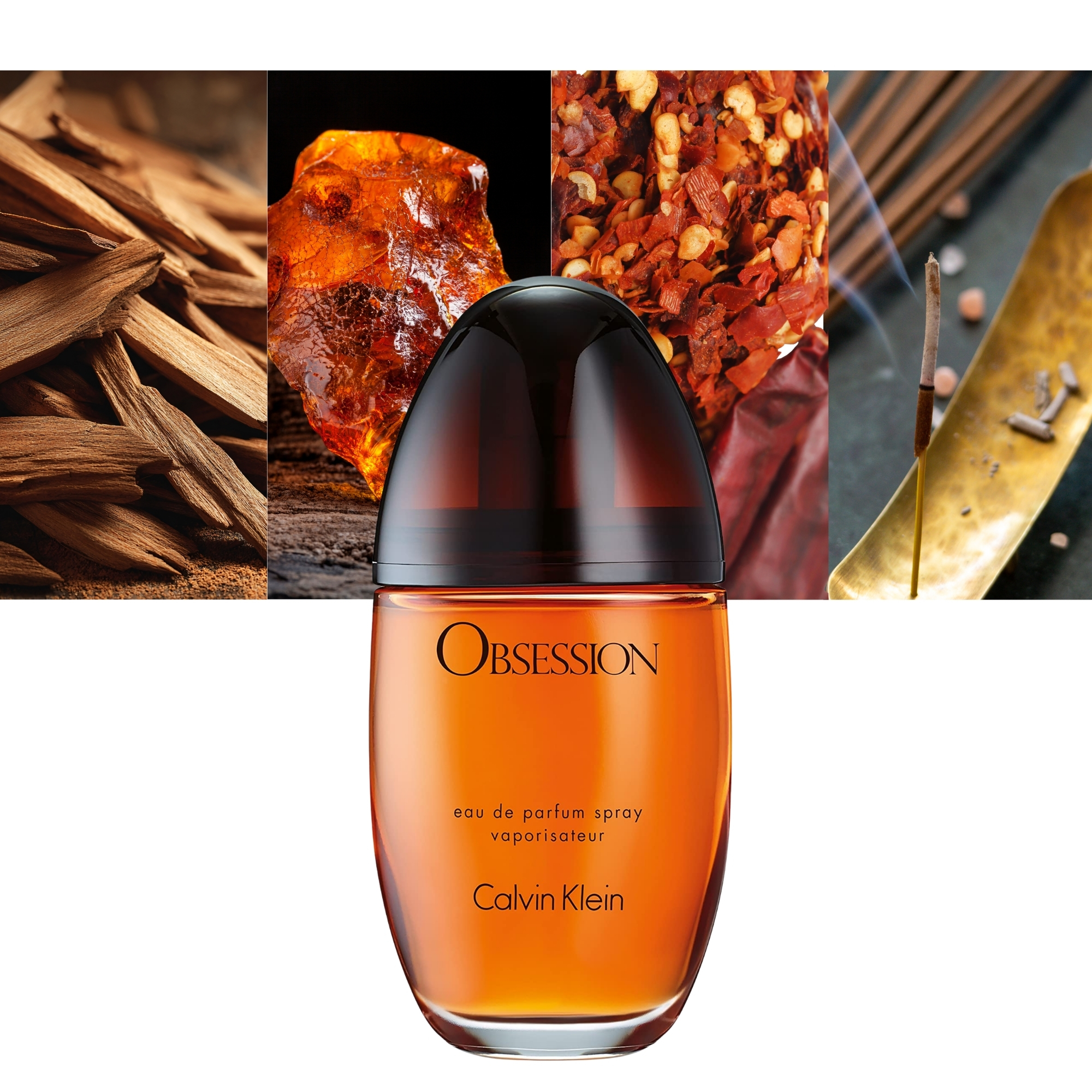 Obsession by Calvin Klein Eau De Parfum 3.4 OZ |Maxaroma.com