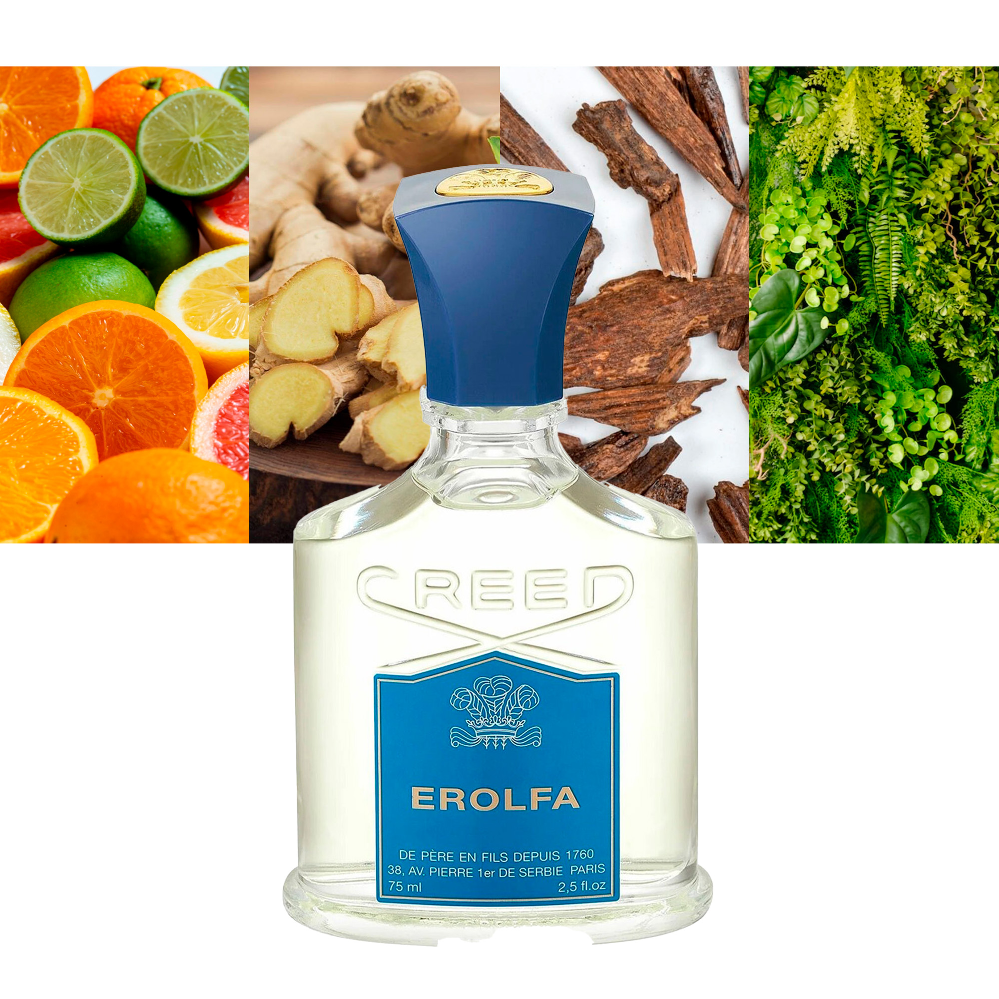 Erolfa by Creed - The Perfect Gift From the Heart